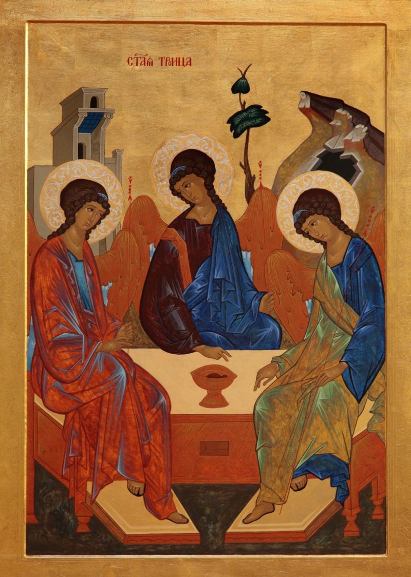 House Groups | Trinity Catholic College